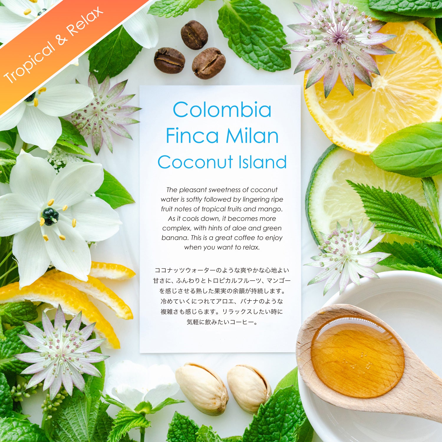 Finca Milan Culuring Coconut Island [Tropical & Relax]